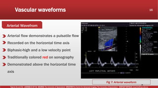 Application of Ultrasound Imaging/Sonogram in Biomedical/Clinical ...