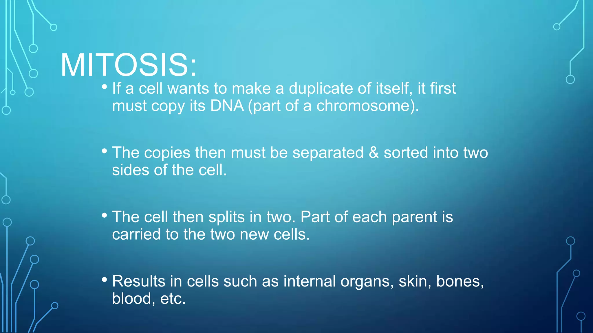 Presentaion mitosis and meiosis | PPT