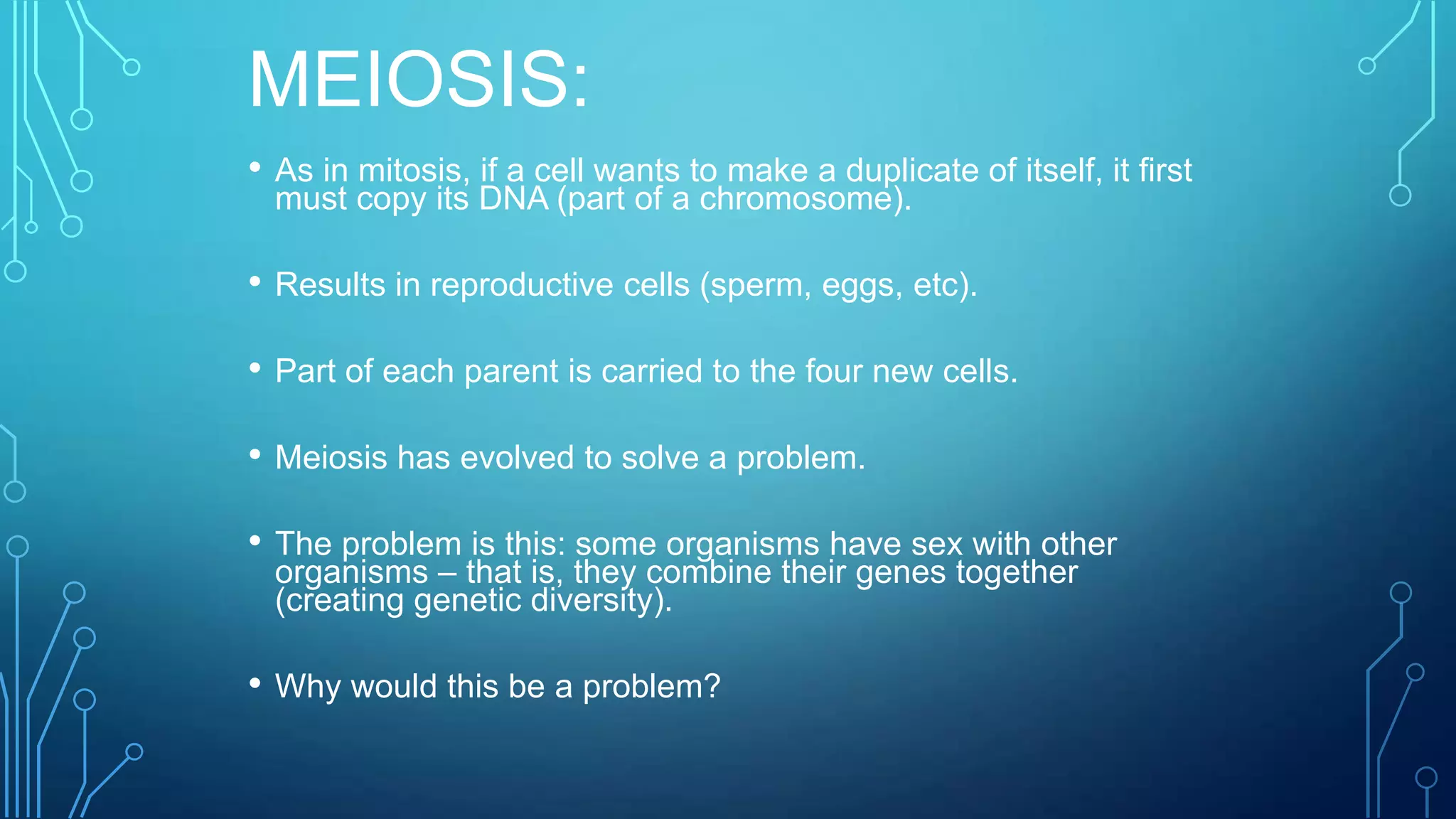 Presentaion mitosis and meiosis | PPT