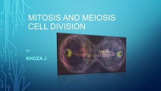 Presentaion mitosis and meiosis | PPT