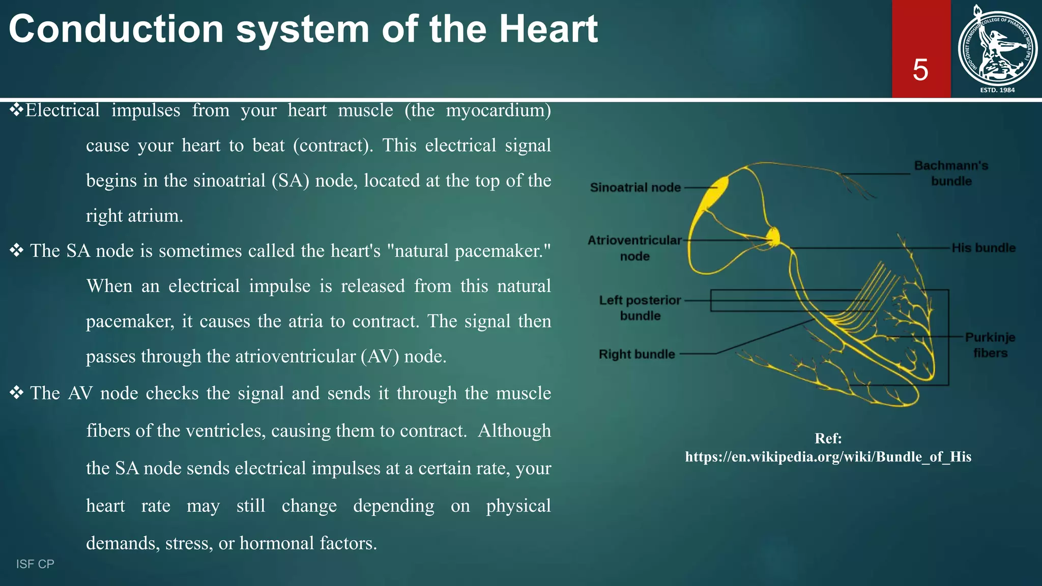 Anatomy and Physiology of the Heart | PPTX