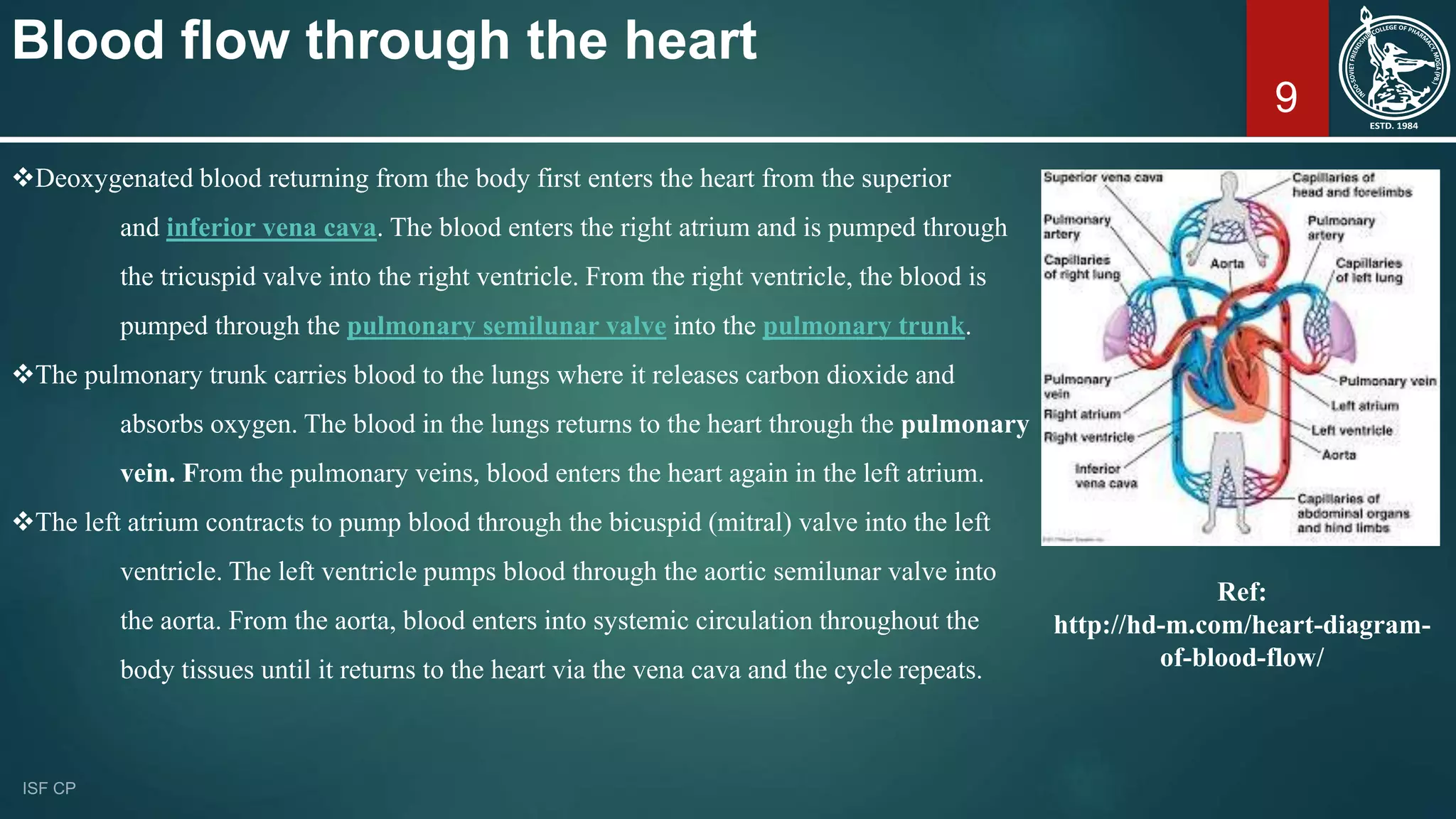 Anatomy and Physiology of the Heart | PPTX