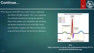 Anatomy and Physiology of the Heart | PPT
