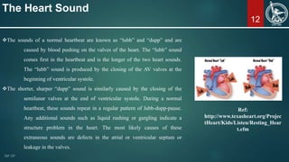Anatomy and Physiology of the Heart | PPTX