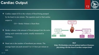 Anatomy and Physiology of the Heart | PPT