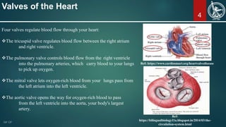 Anatomy and Physiology of the Heart | PPT