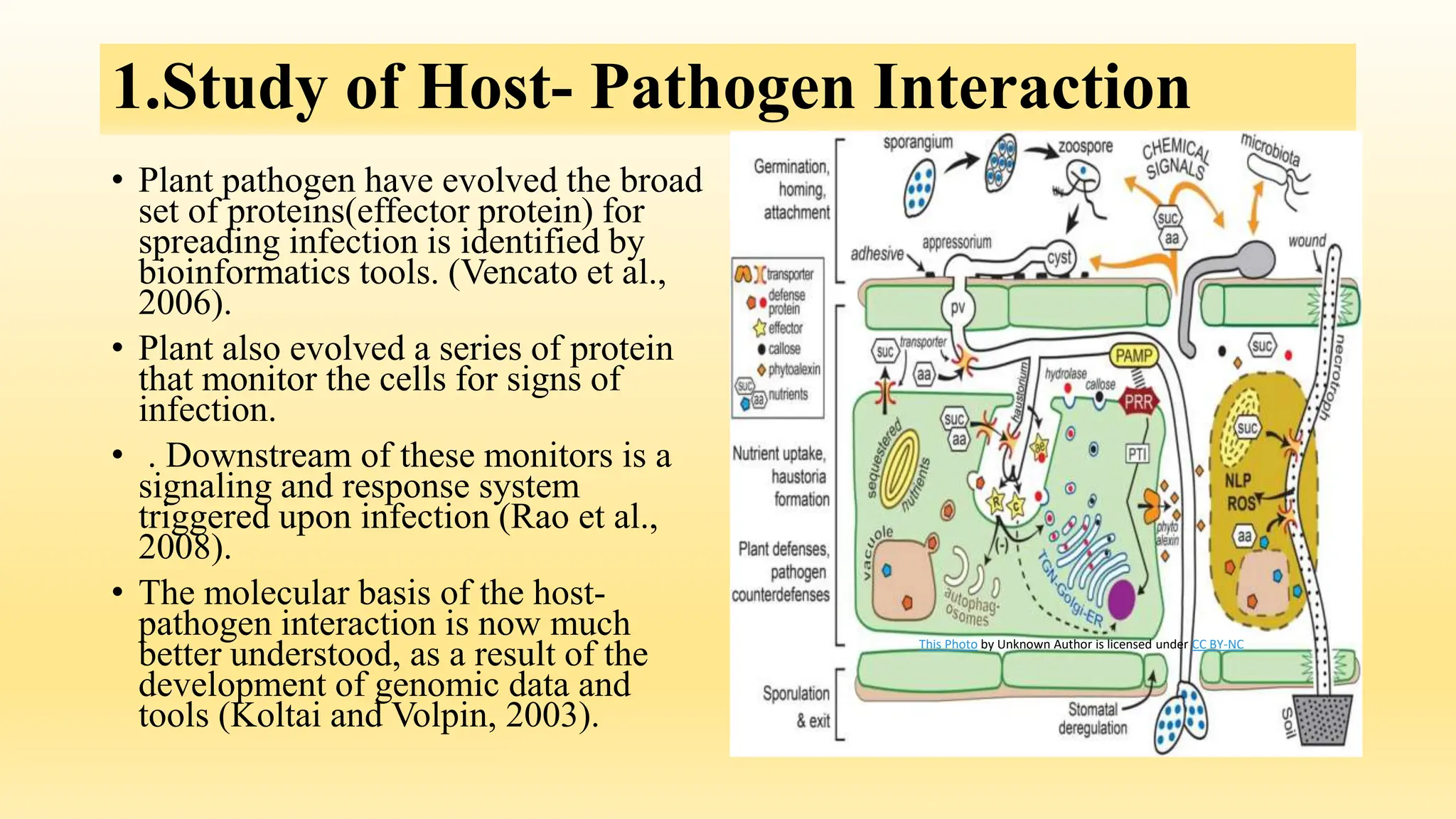 Role of Bioinformatics in Plant Pathology.pptx
