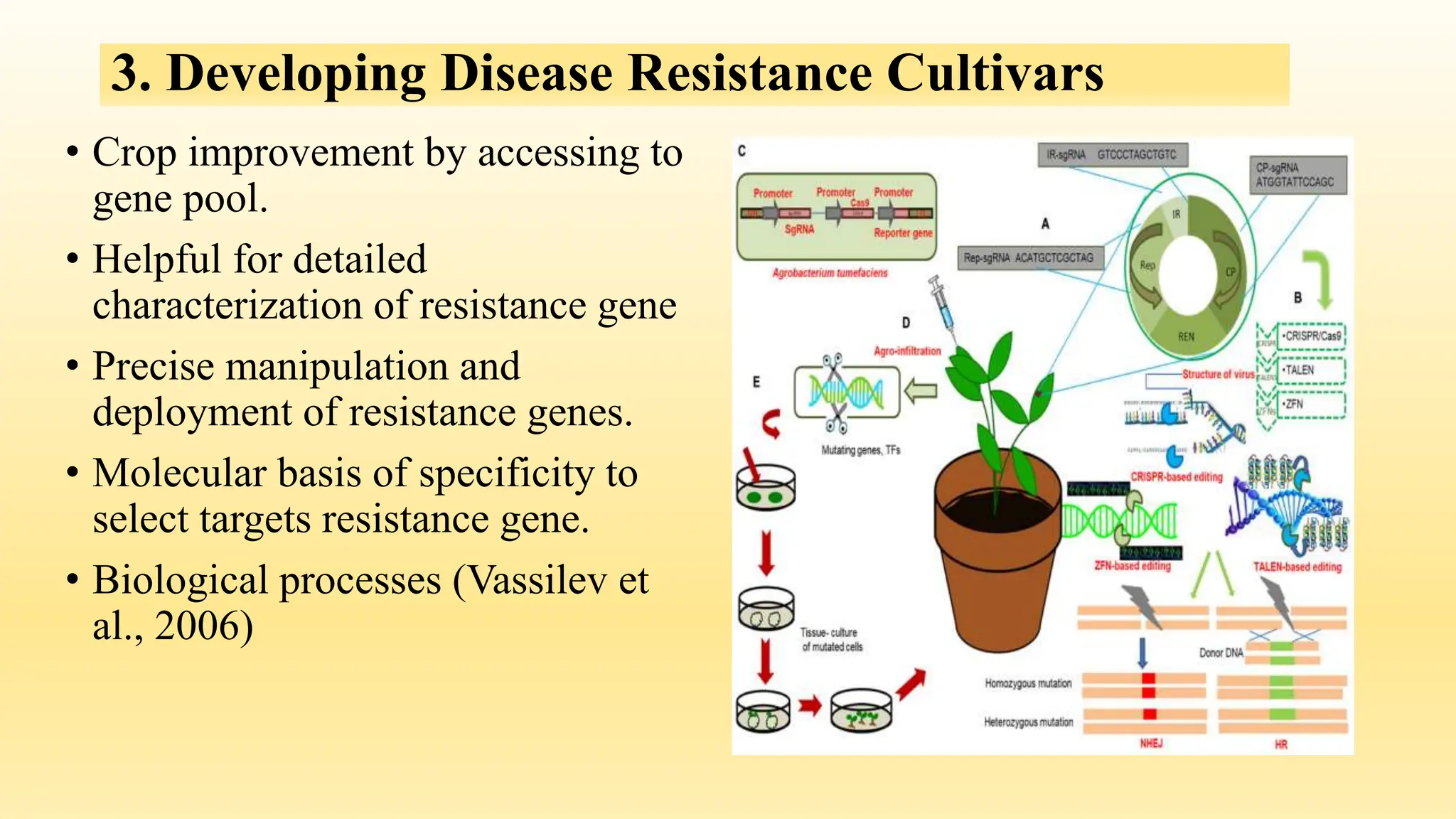 Role of Bioinformatics in Plant Pathology.pptx