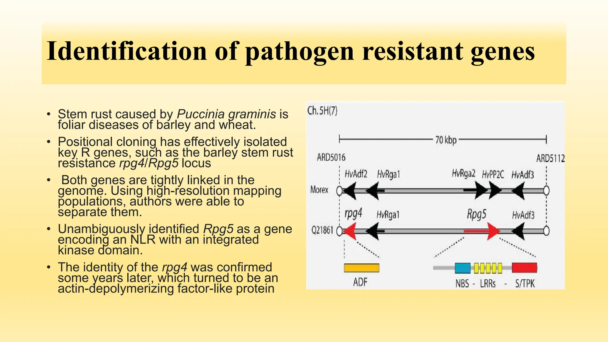 Role of Bioinformatics in Plant Pathology.pptx