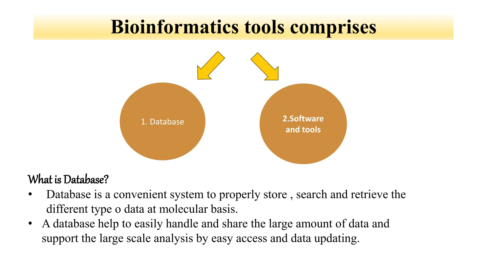 Role of Bioinformatics in Plant Pathology.pptx