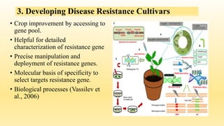 Role of Bioinformatics in Plant Pathology.pptx