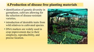 Role of Bioinformatics in Plant Pathology.pptx