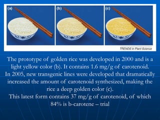 Presentaion transgenic plants | PPT