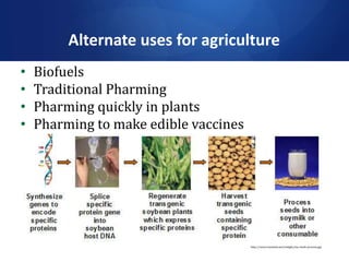 Present and future Challenges in Agriculture | PPTX