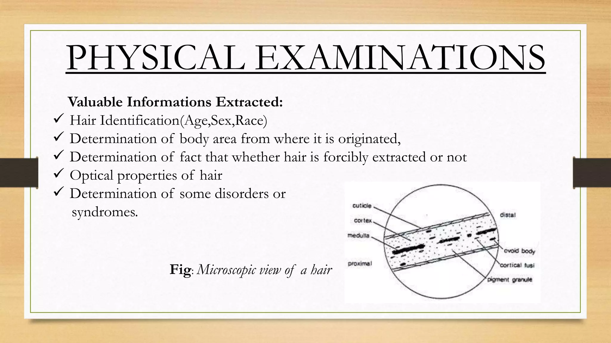 Hair_Examination.ppt