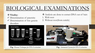 Hair_Examination.ppt