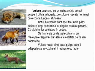 animale | PPT