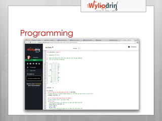 Wyliodrin at the ProInfo Summer School | PPT