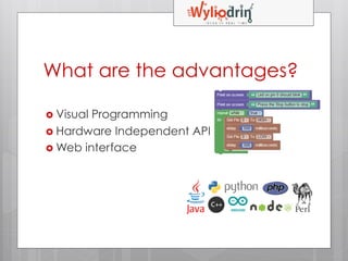 Wyliodrin at the ProInfo Summer School | PPT