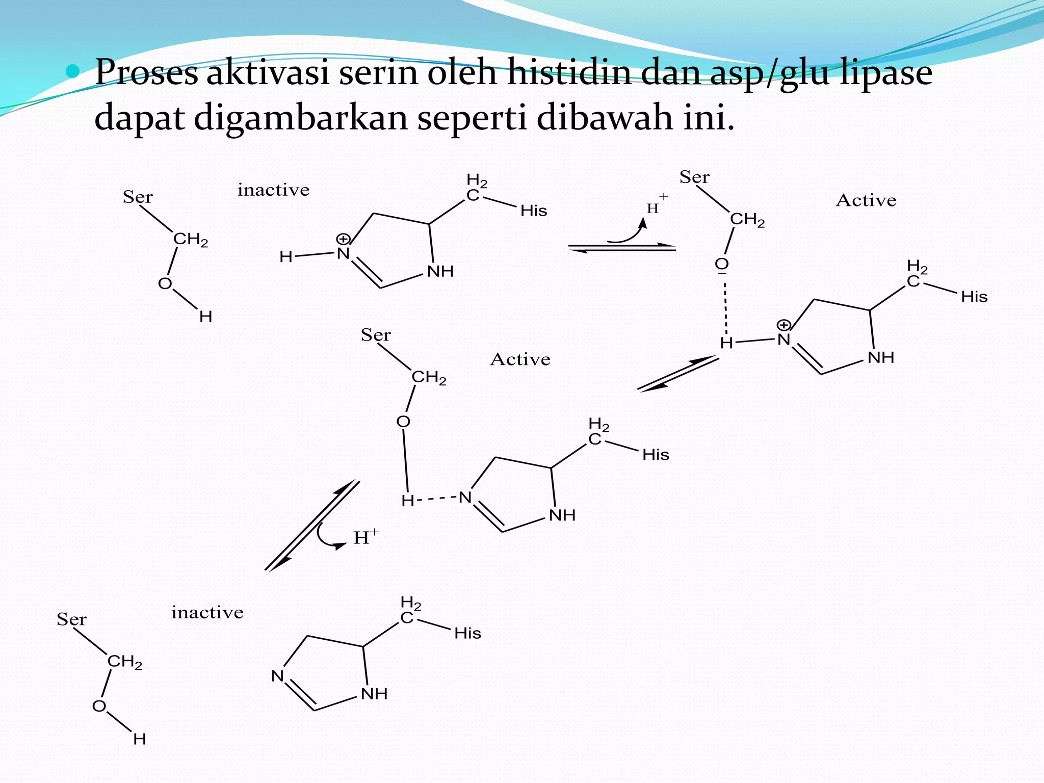 Presentase enzim lipase | PPTX