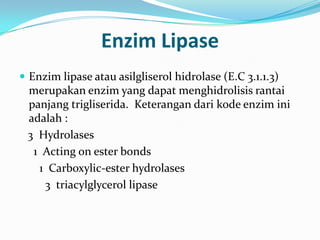 Presentase enzim lipase | PPTX