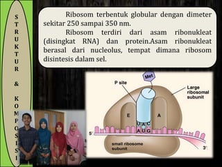 Presentase ribosom cell | PPTX