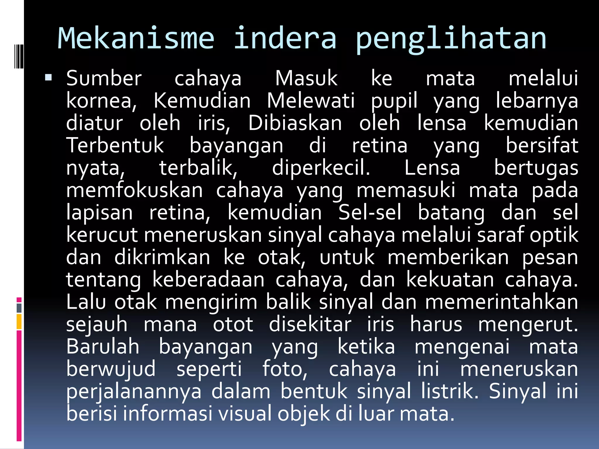 Anatomi Sistem Sensorik | PPTX