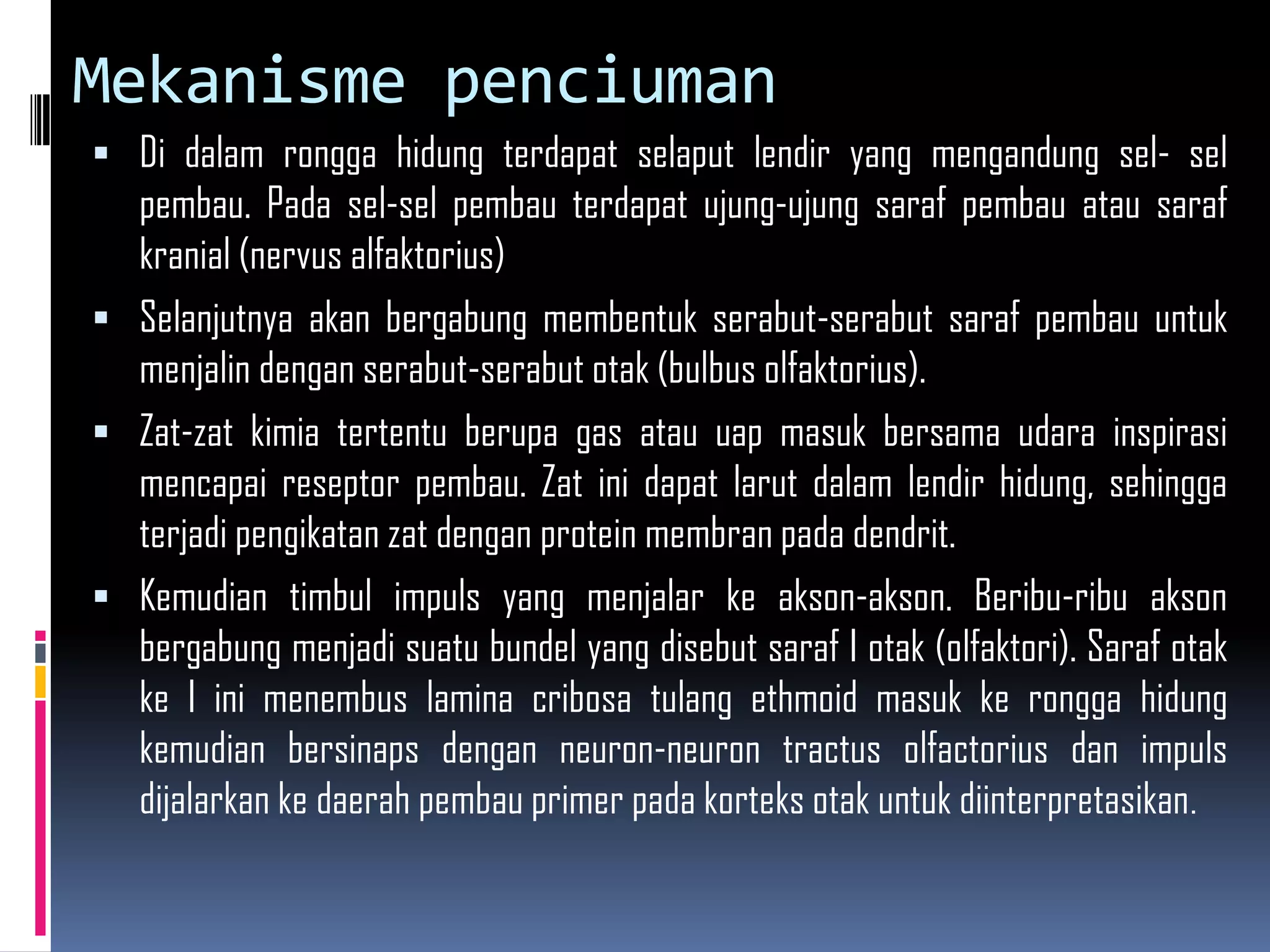 Anatomi Sistem Sensorik | PPTX