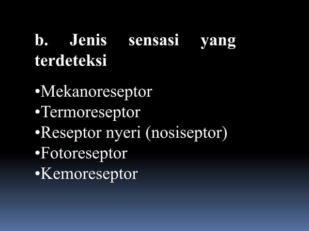 Anatomi Sistem Sensorik | PPTX