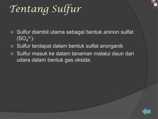 Magnesium,Kalsium,sulfur | PPT