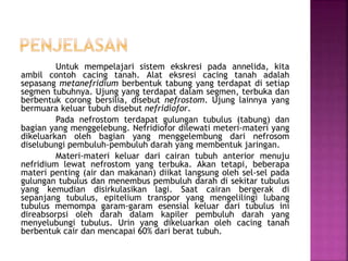 Sistem Ekskresi Hewan dan Manusia | PPTX