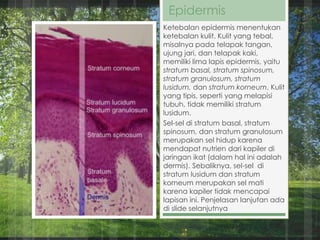 Sistem Ekskresi Hewan dan Manusia | PPTX