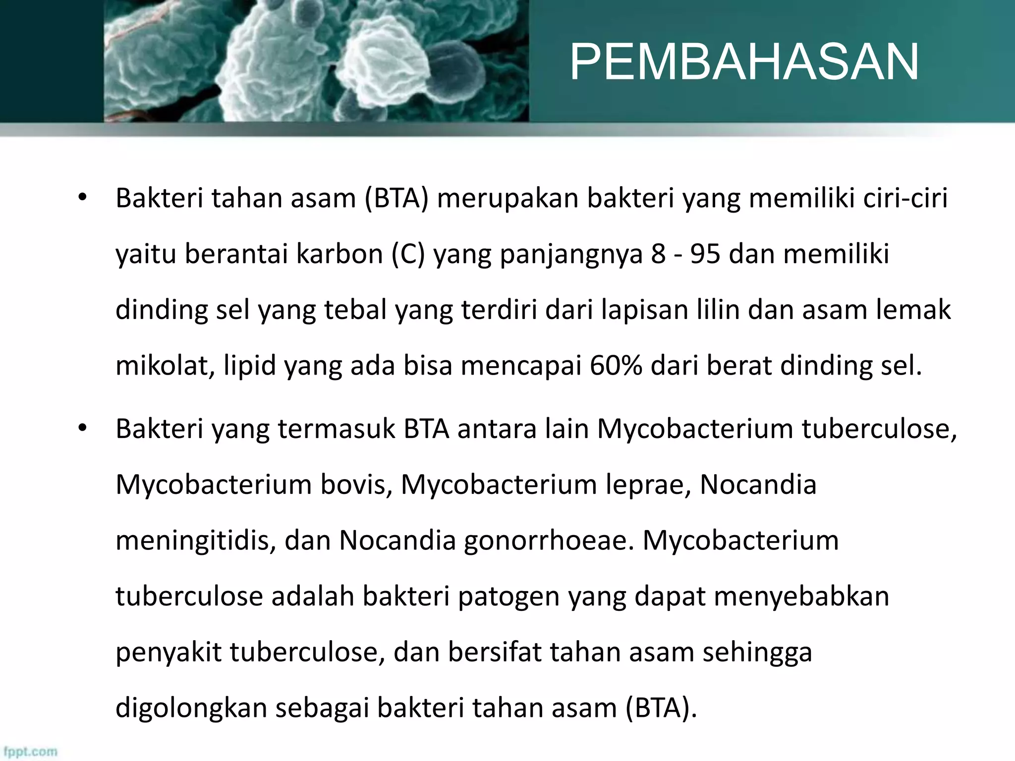 Pewarnaan BTA/BTTA | PPTX