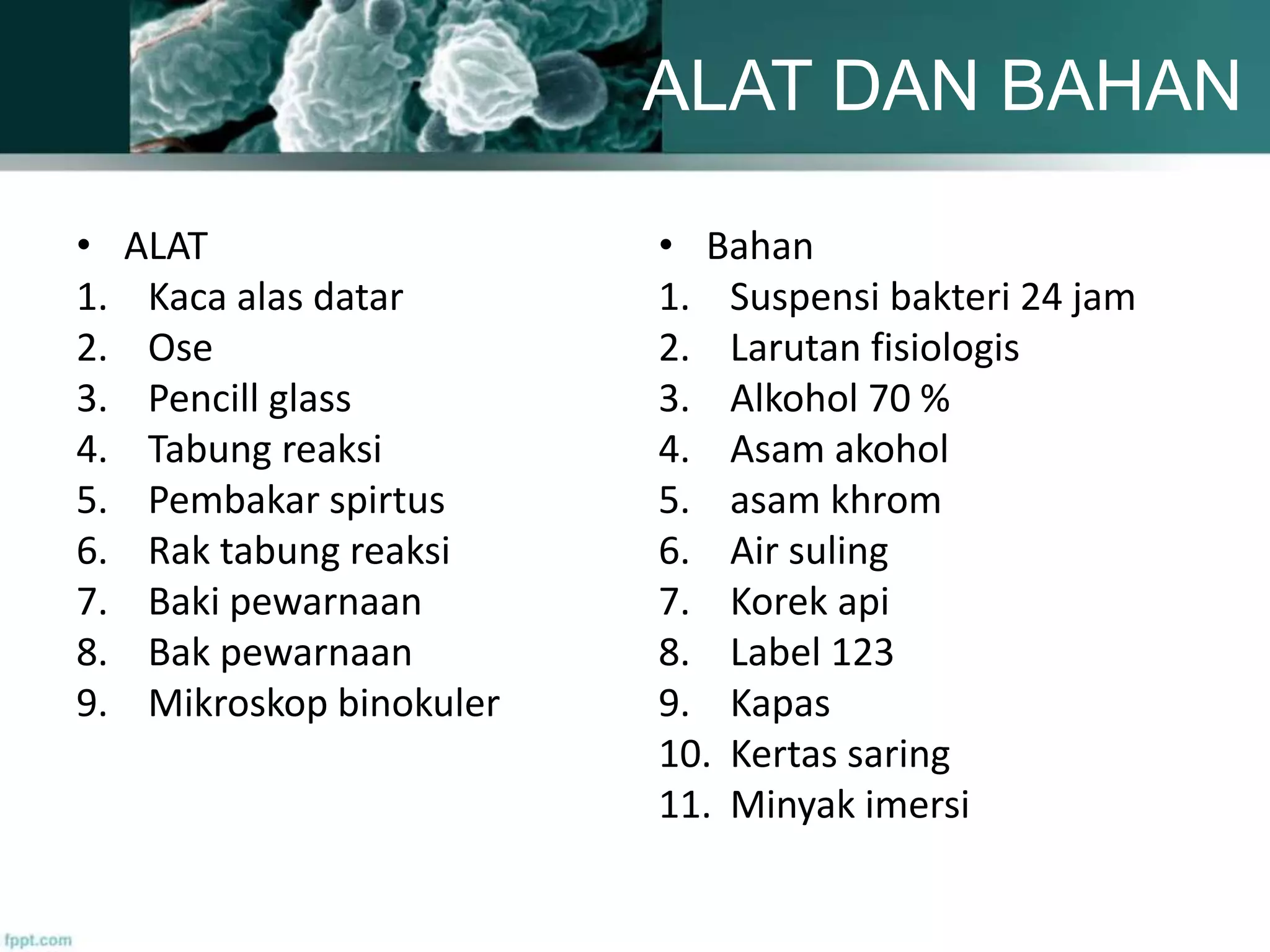 Pewarnaan BTA/BTTA | PPTX