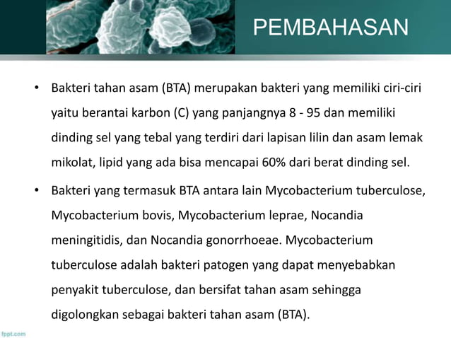 Pewarnaan BTA/BTTA | PPTX