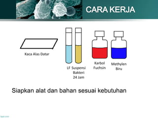 Pewarnaan BTA/BTTA | PPTX