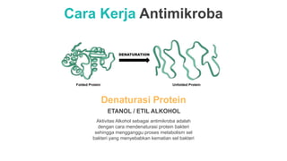 Uji Aktivitas Antimikroba - Mikrobiologi Dasar | PPTX