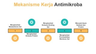Uji Aktivitas Antimikroba - Mikrobiologi Dasar | PPTX