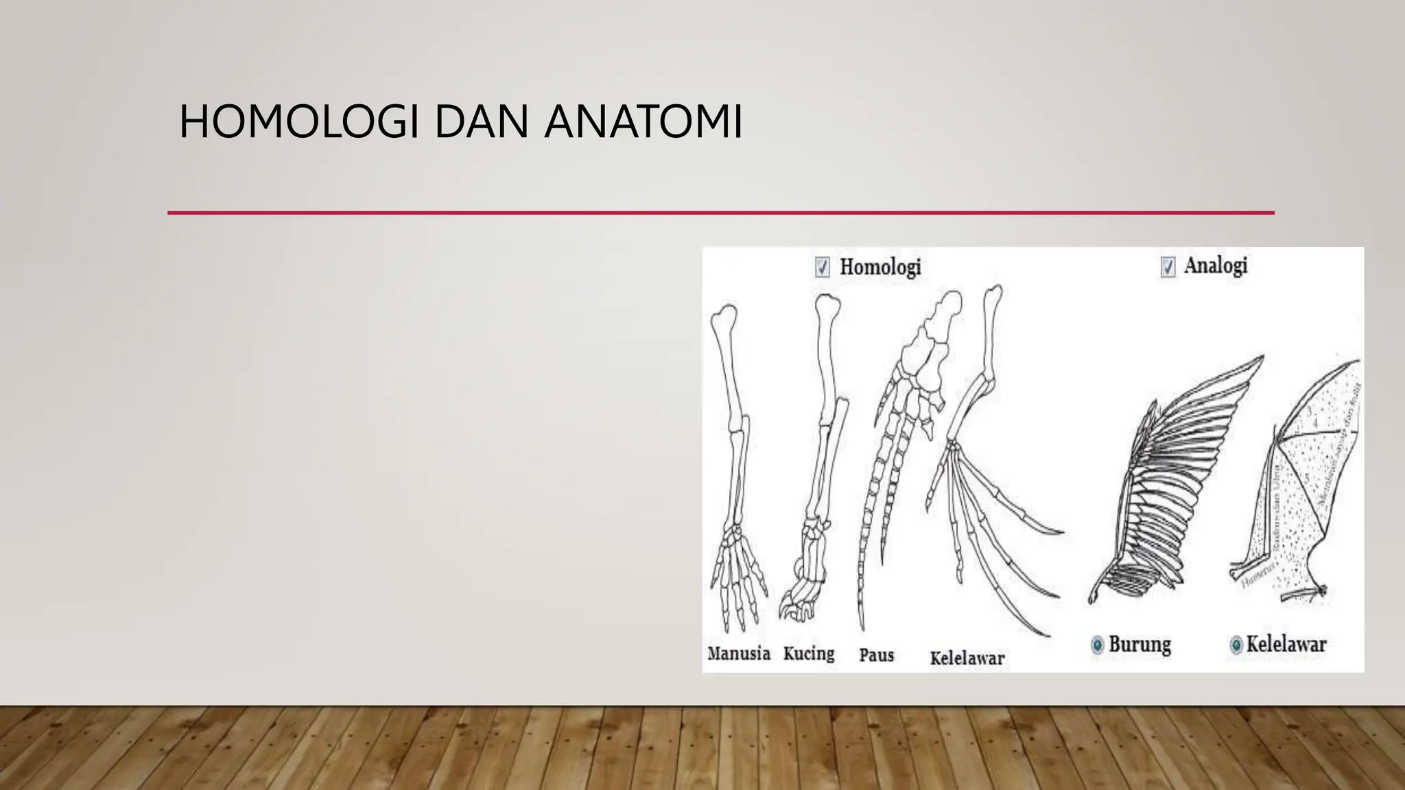 Bukti Evolusi-PPT Kuliah Evolusi 2 Bab 1 | PPTX
