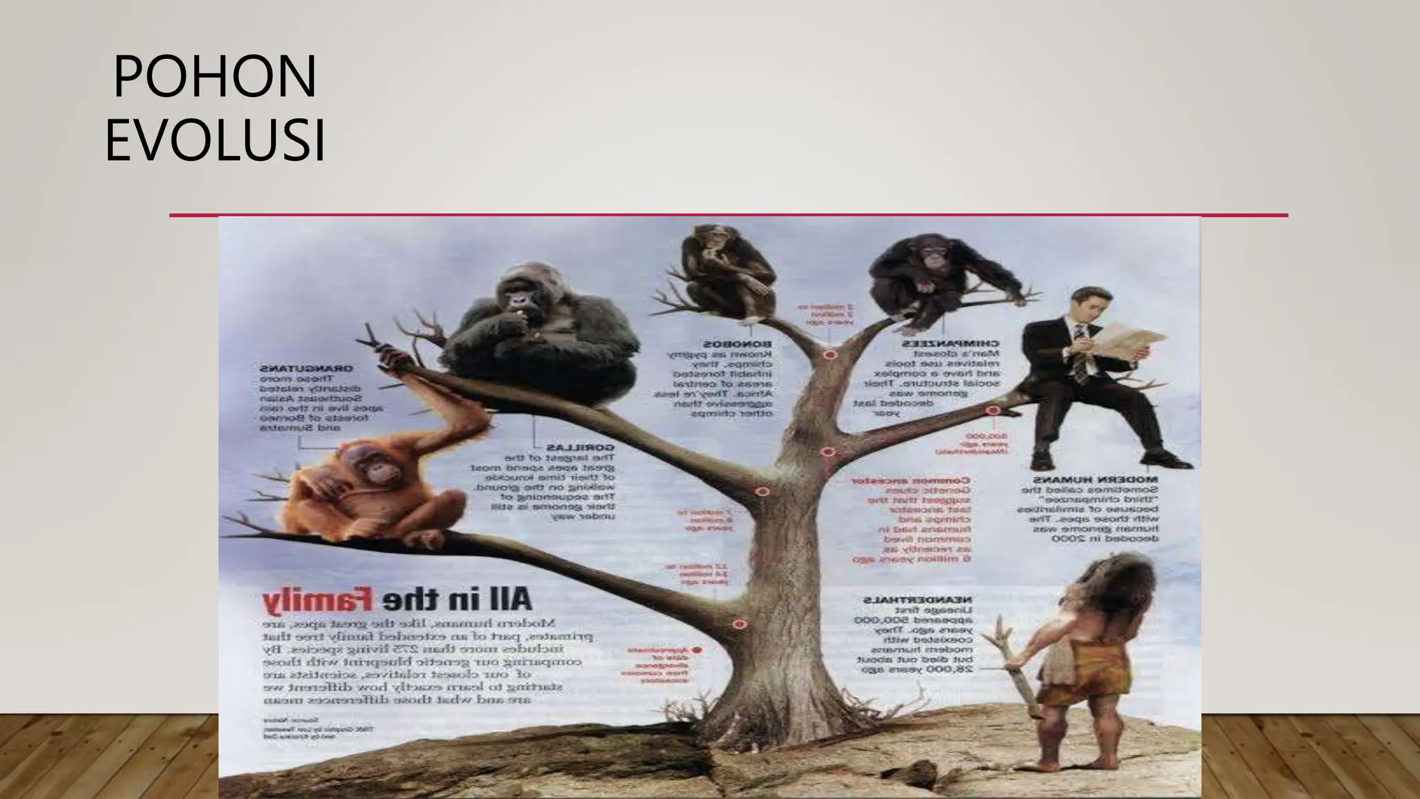 Bukti Evolusi-PPT Kuliah Evolusi 2 Bab 1 | PPTX