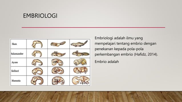 Bukti Evolusi-PPT Kuliah Evolusi 2 Bab 1 | PPTX