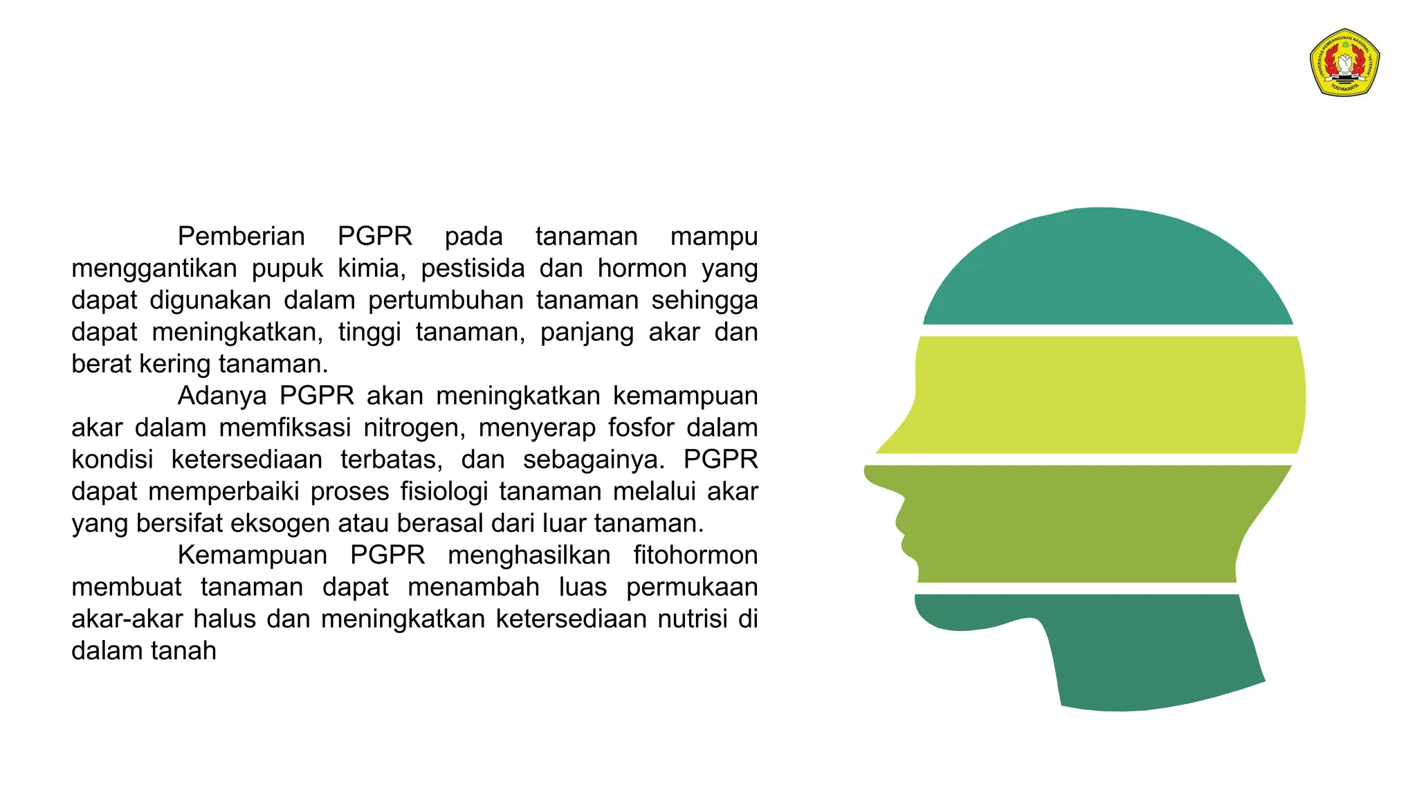 presentasi aplikasi pgpr terhadap pertumbuhan bayam.pptx
