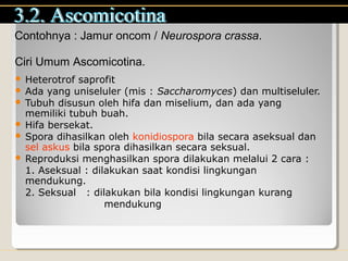 presentasi fungi kelas X | PPT