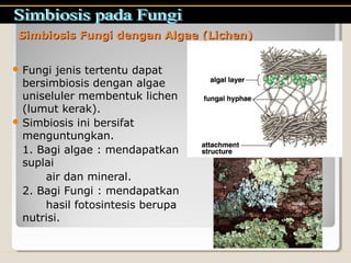 presentasi fungi kelas X | PPT