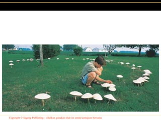 presentasi-fungi.ppt