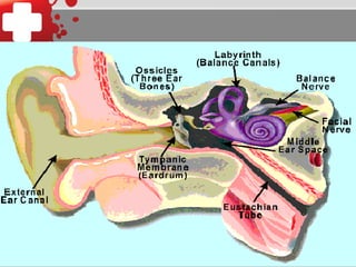 Presentasi.labirintitis.okt12.monic | PPT