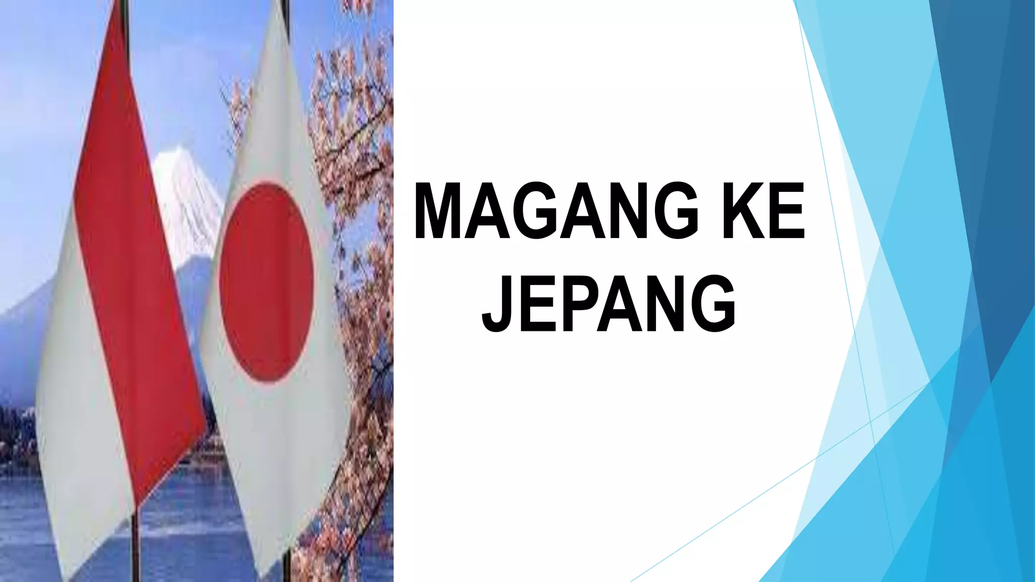 PRESENTASI-MAGANG-JEPANG.pptx