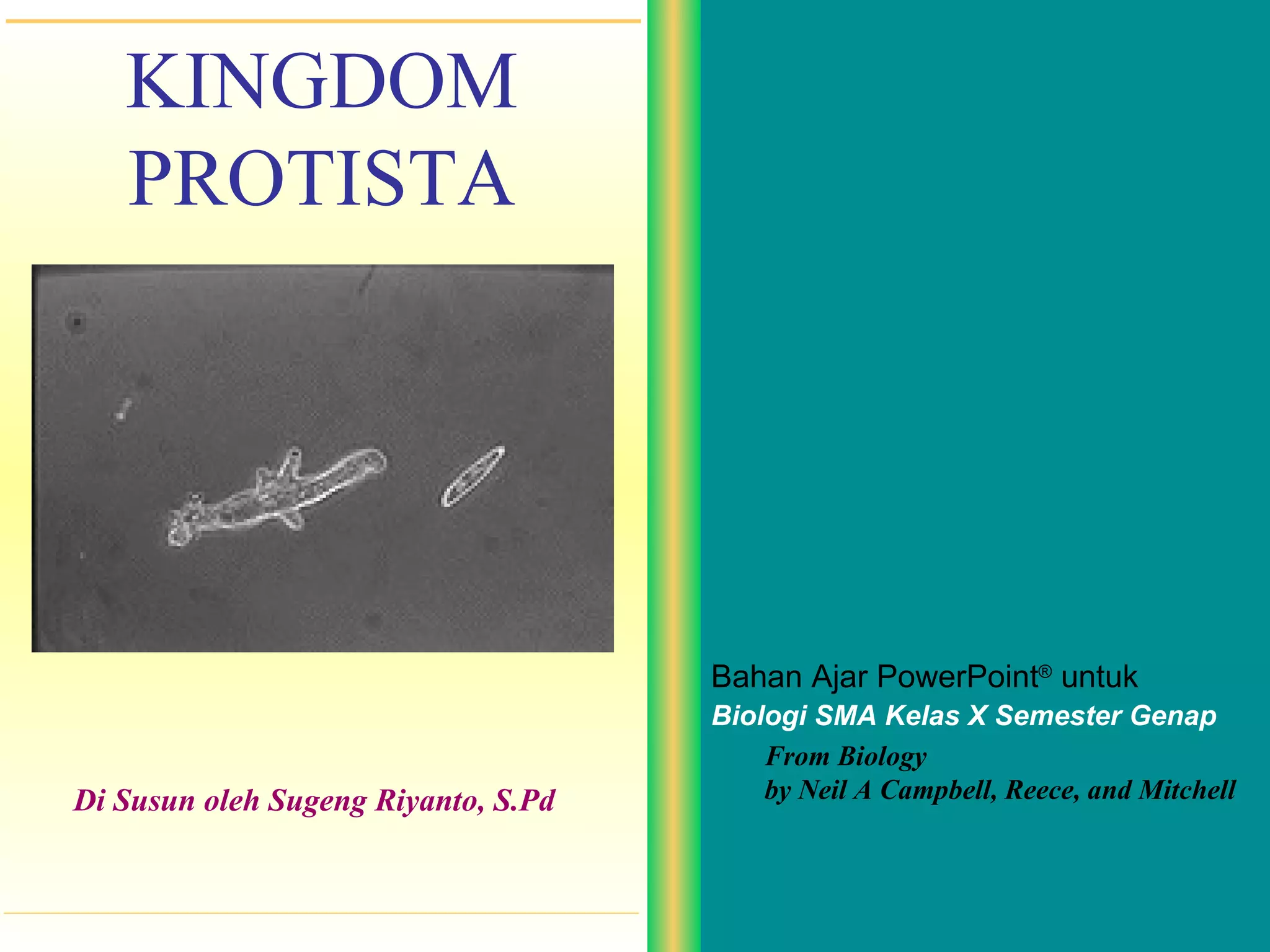 PPT Biologi SMA Kelas X Protista-fix | PPT