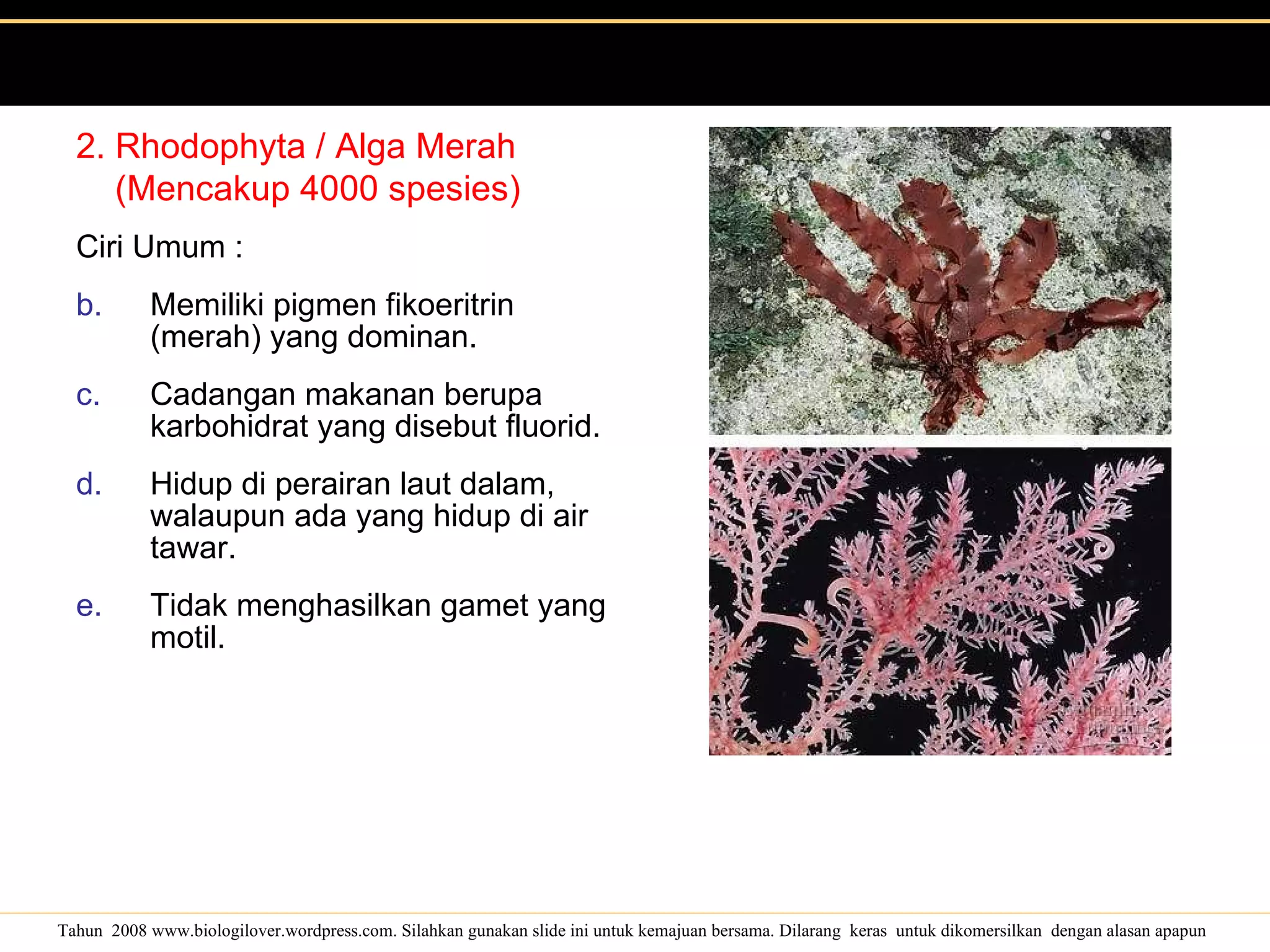 PPT Biologi SMA Kelas X Protista-fix | PPT