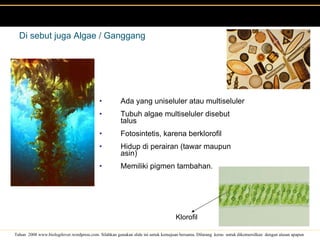 PPT Biologi SMA Kelas X Protista-fix | PPT